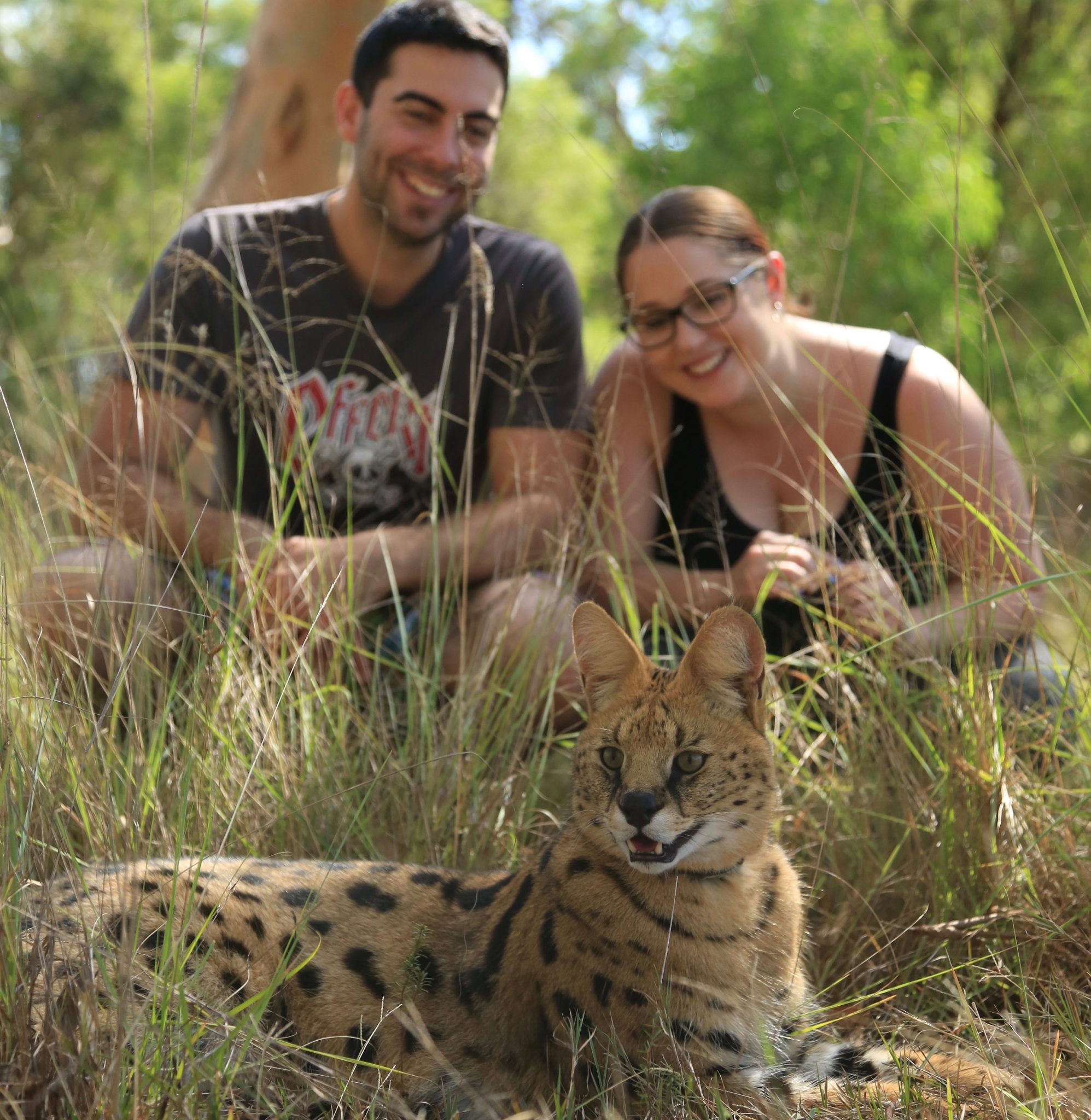 Wild Cat Conservation Centre | Wild Cat & Cheetah Conservation